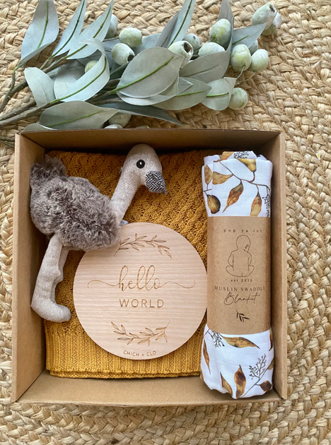 Baby Boy Gift Hampers | Chich + Clo